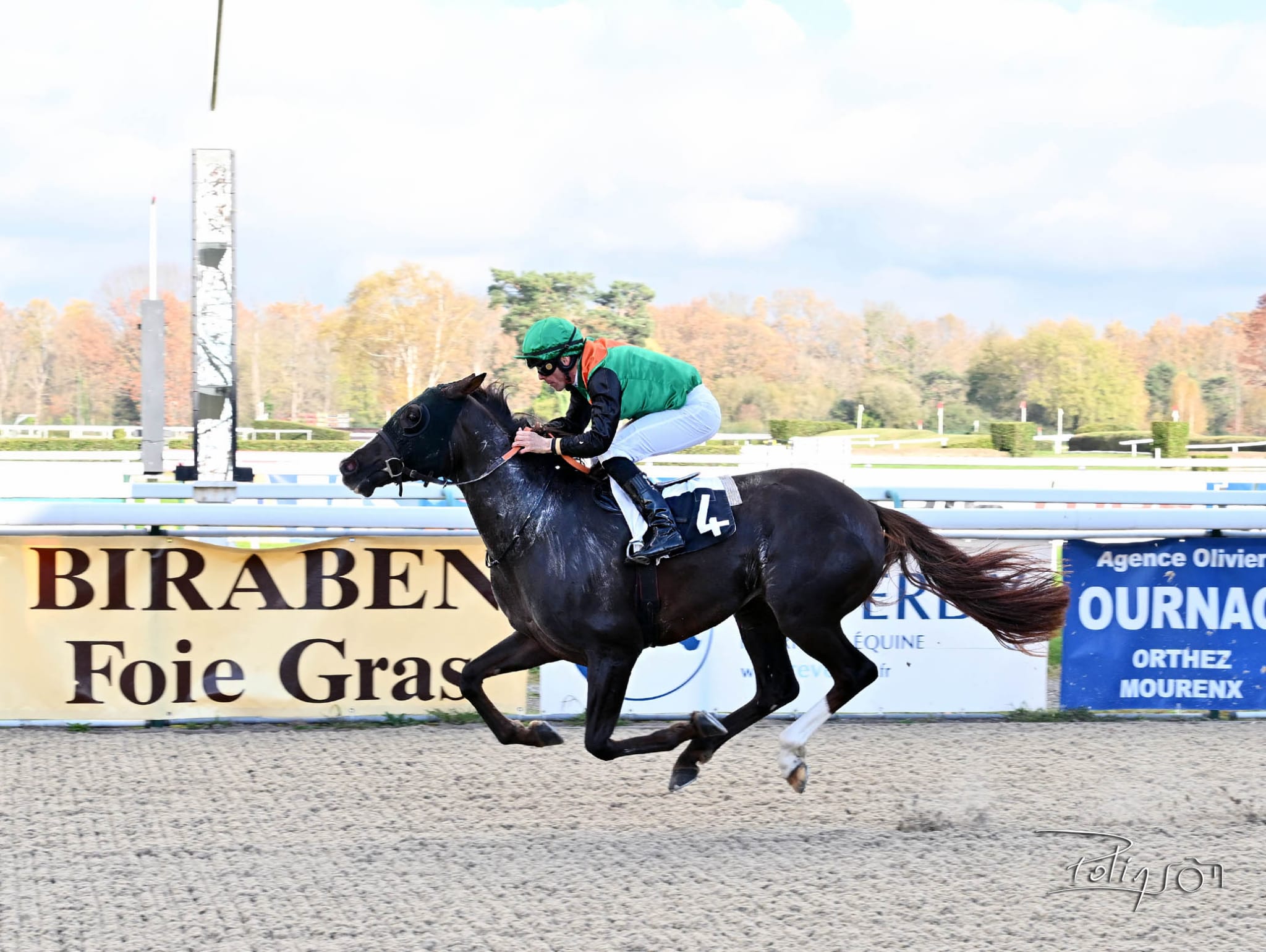 Impressive JUAN DE FAUST - Haras Saint Faust